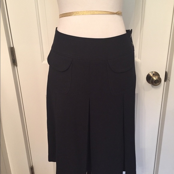 Peter Elliot | Skirts | Peter Elliot Skirt Aline Navy Blue Pleats Tina ...